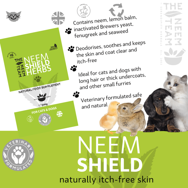 The Neem Team | Neem Shield Herbs | THE NEEM TEAM!