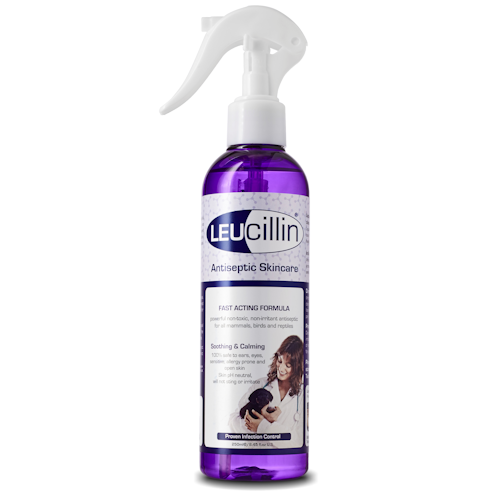 Leucillin Antiseptic Skincare - Serendipity Herbals