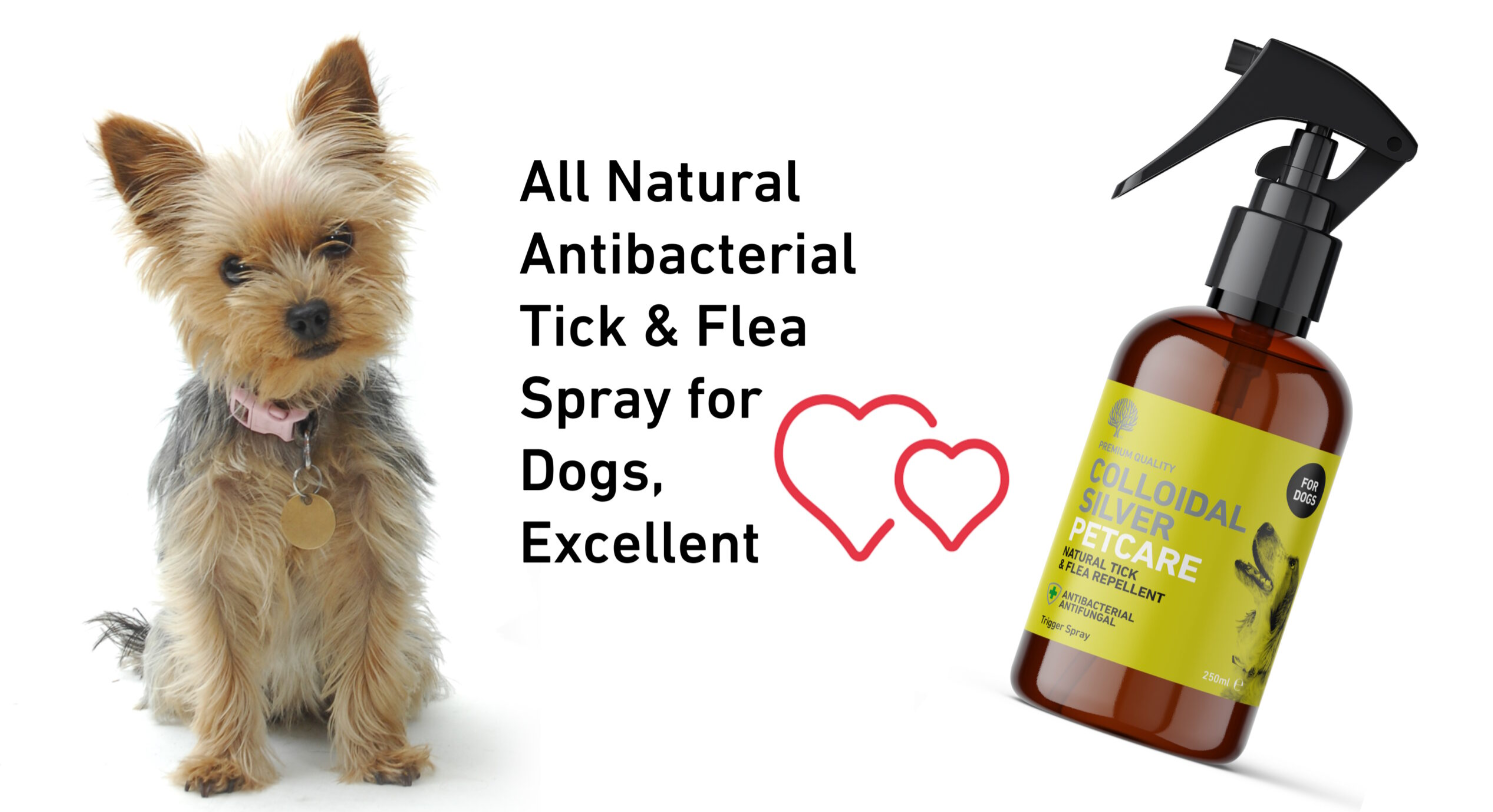 NGS | Colloidal Silver Flea Repellent Spray | THE NEEM TEAM!