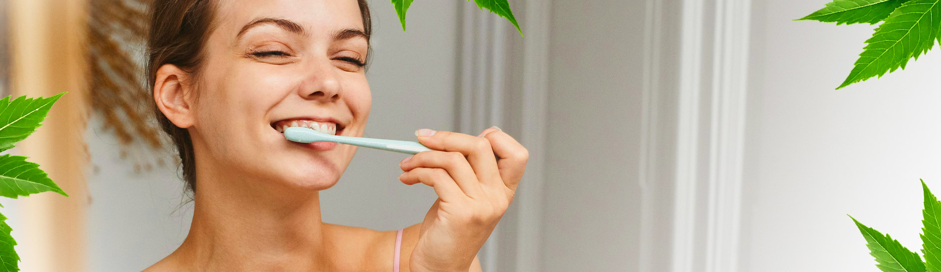 Home Page | The neemteam, neem for everyone! | THE NEEM TEAM!